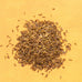 Wild Foraged Fennel Seed – Rumi Spice